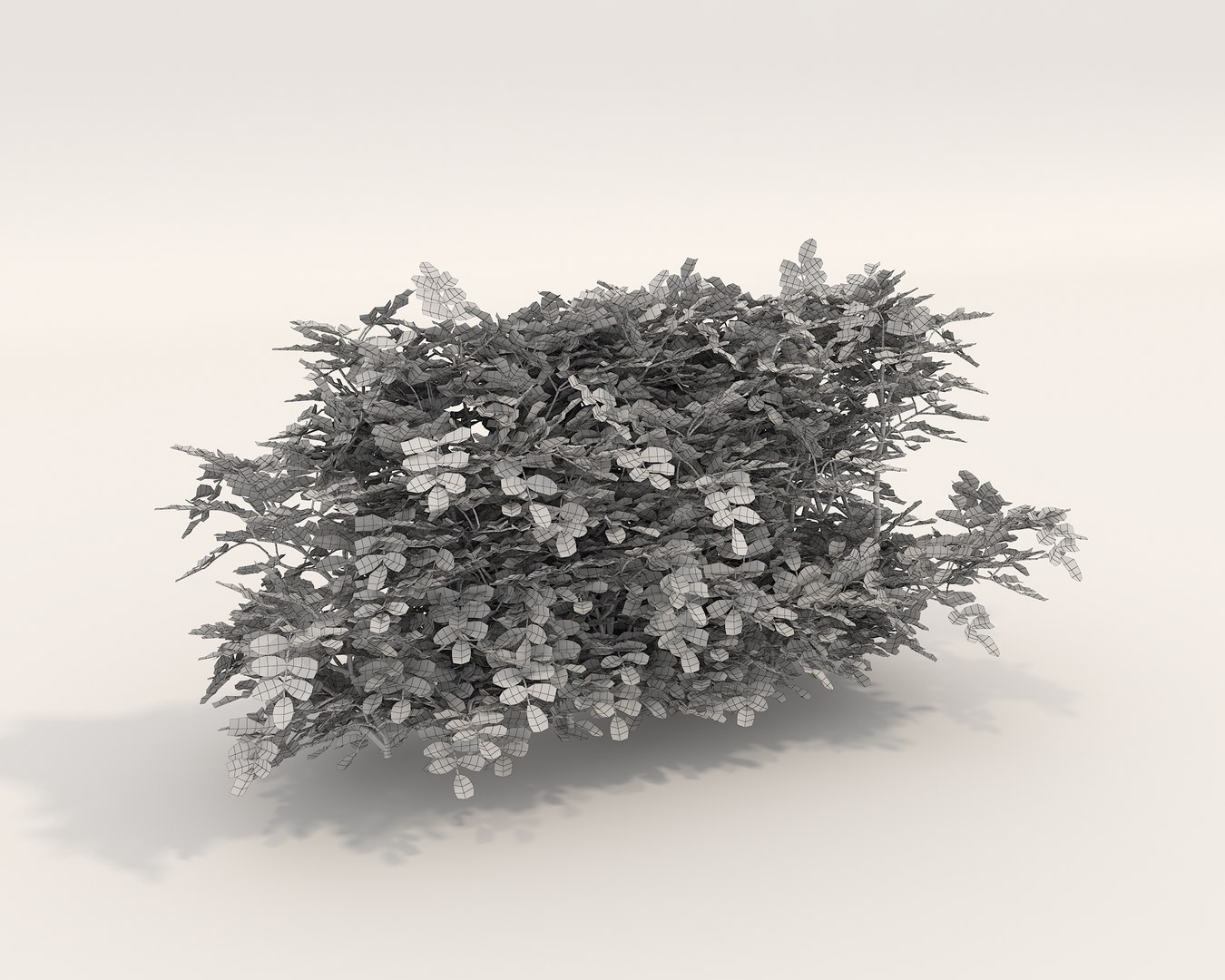 3D Realistic Shrub Bush Set 4 model - TurboSquid 2030597
