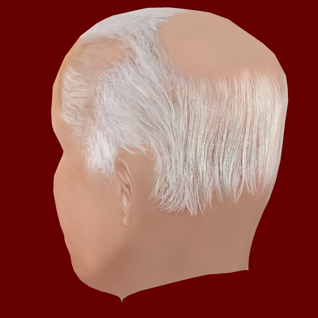 3D Model Low Poly Head Of The President - Joe Biden - TurboSquid 2206365