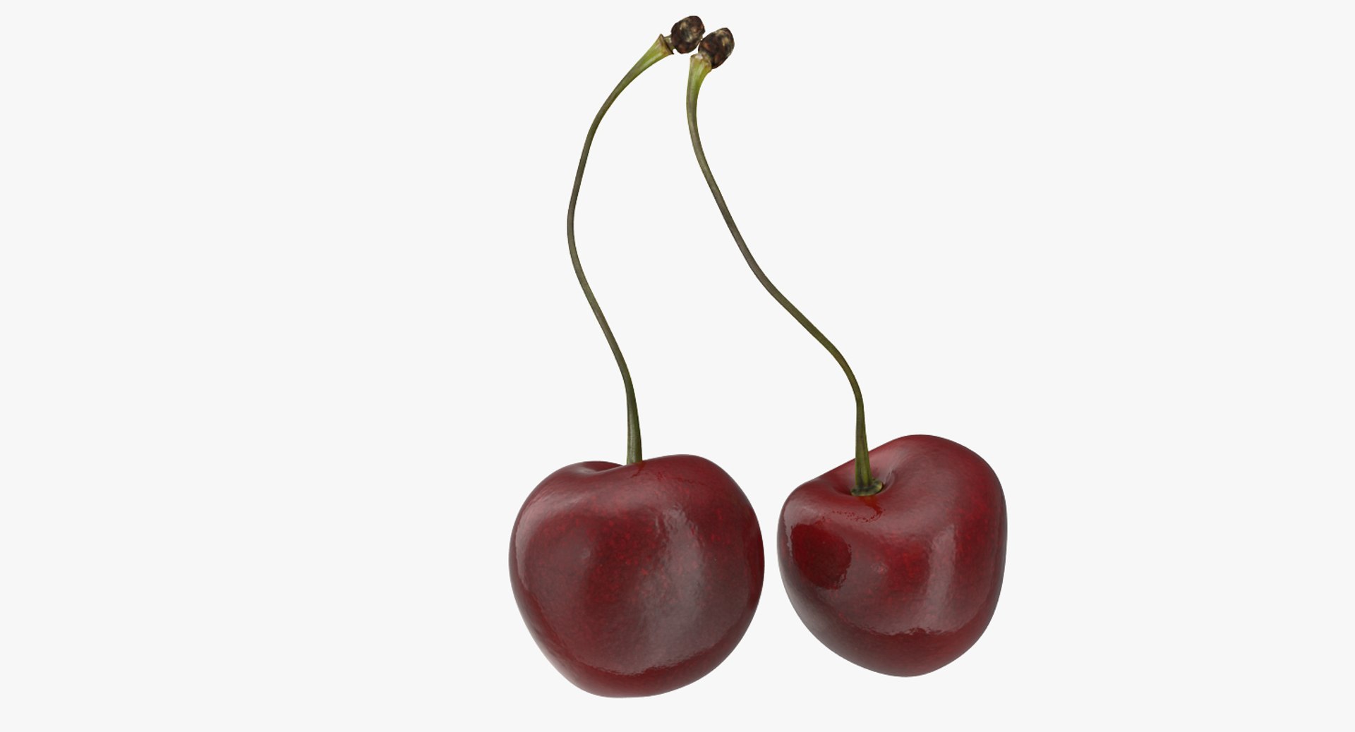 3D Model Sour Cherry - TurboSquid 1200551
