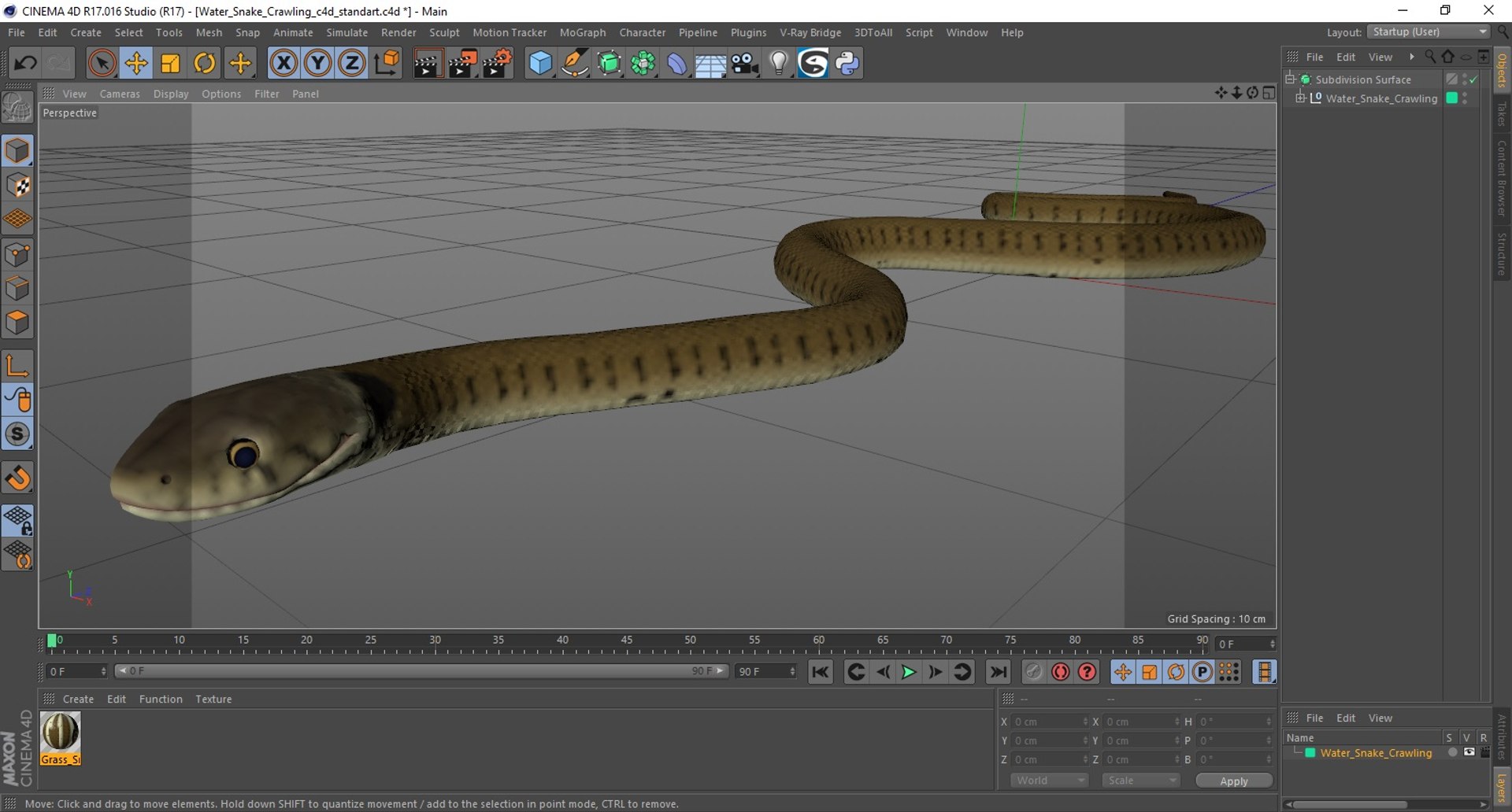 3D Water Snake Crawling - TurboSquid 2247277