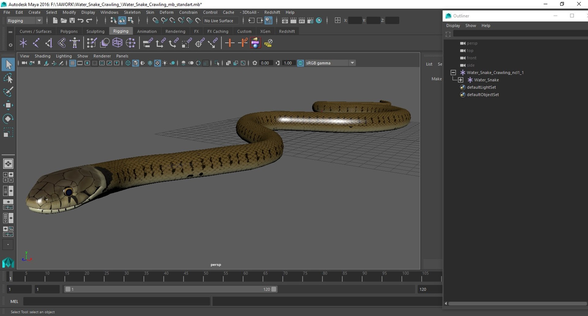 3D Water Snake Crawling - TurboSquid 2247277