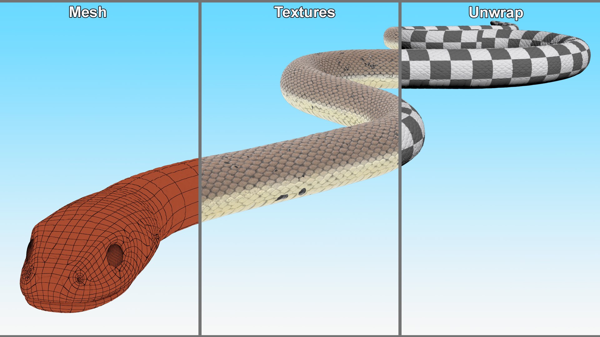 3D Water Snake Crawling - TurboSquid 2247277