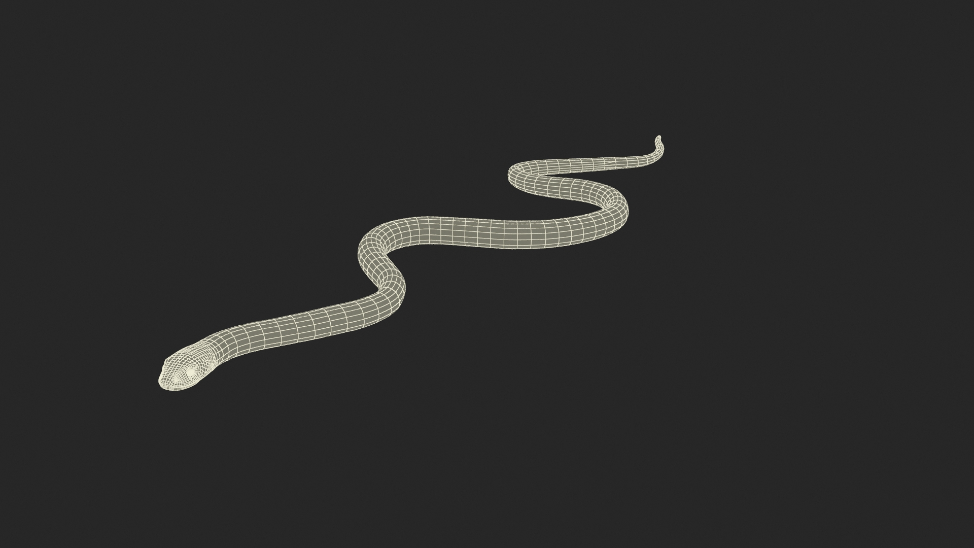 3D Water Snake Crawling - TurboSquid 2247277