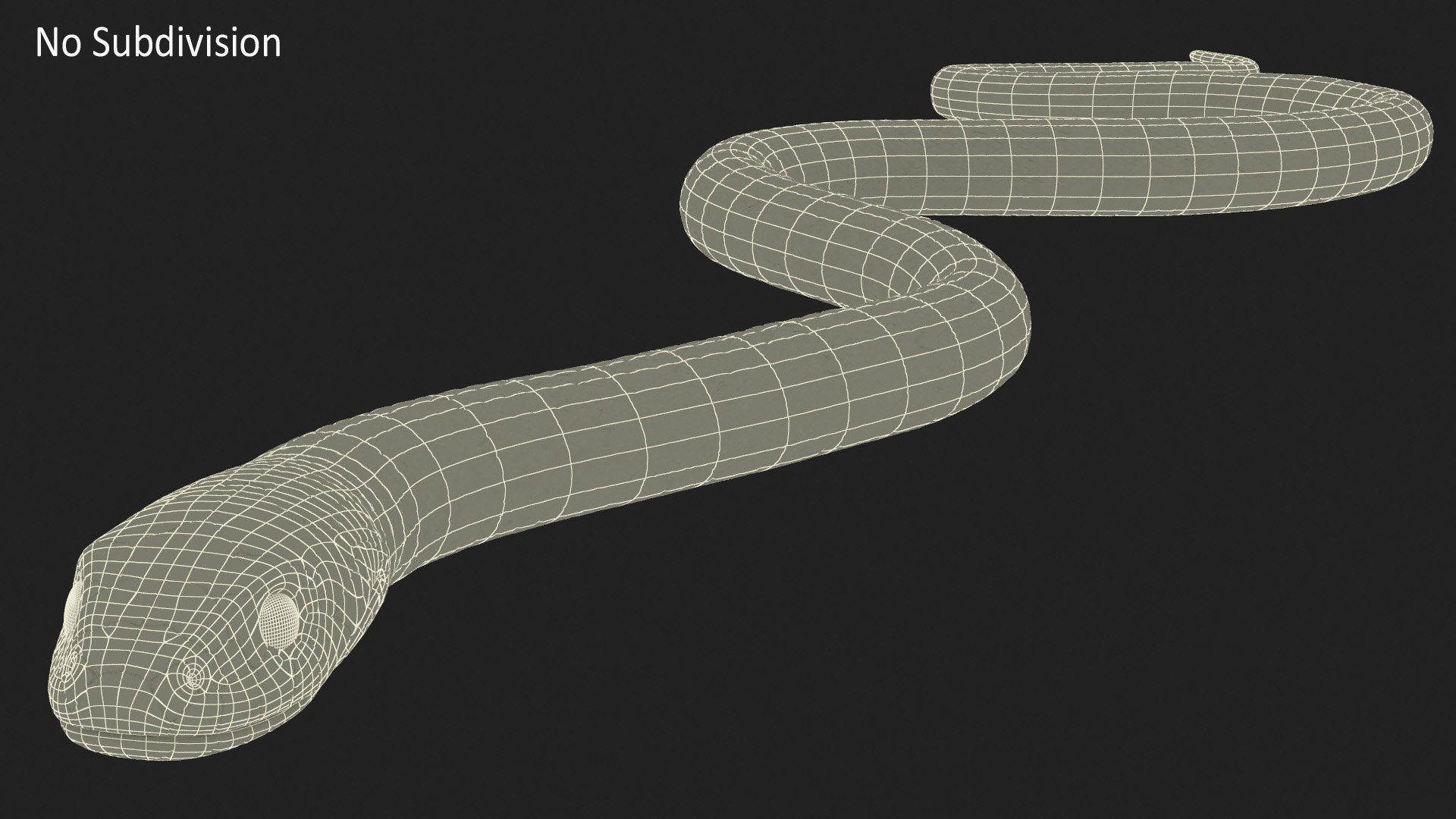 3D Water Snake Crawling - TurboSquid 2247277