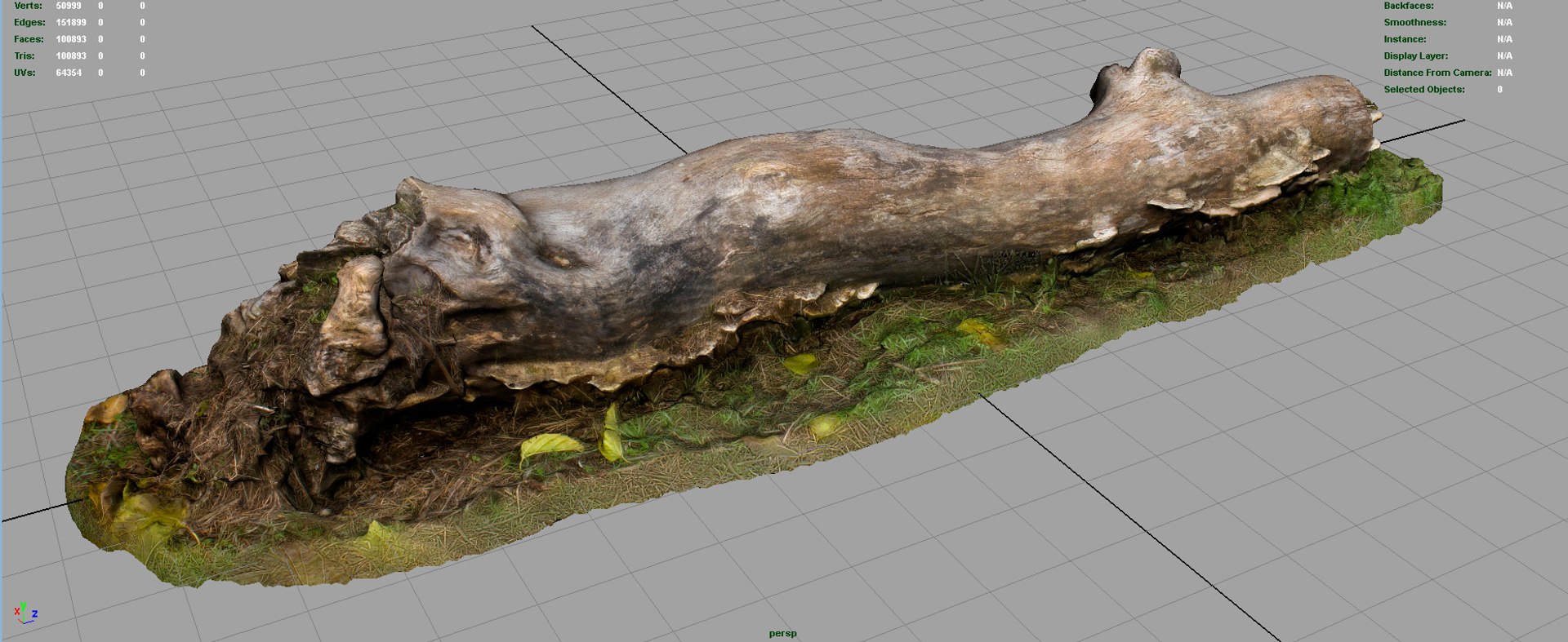 3d dead tree model