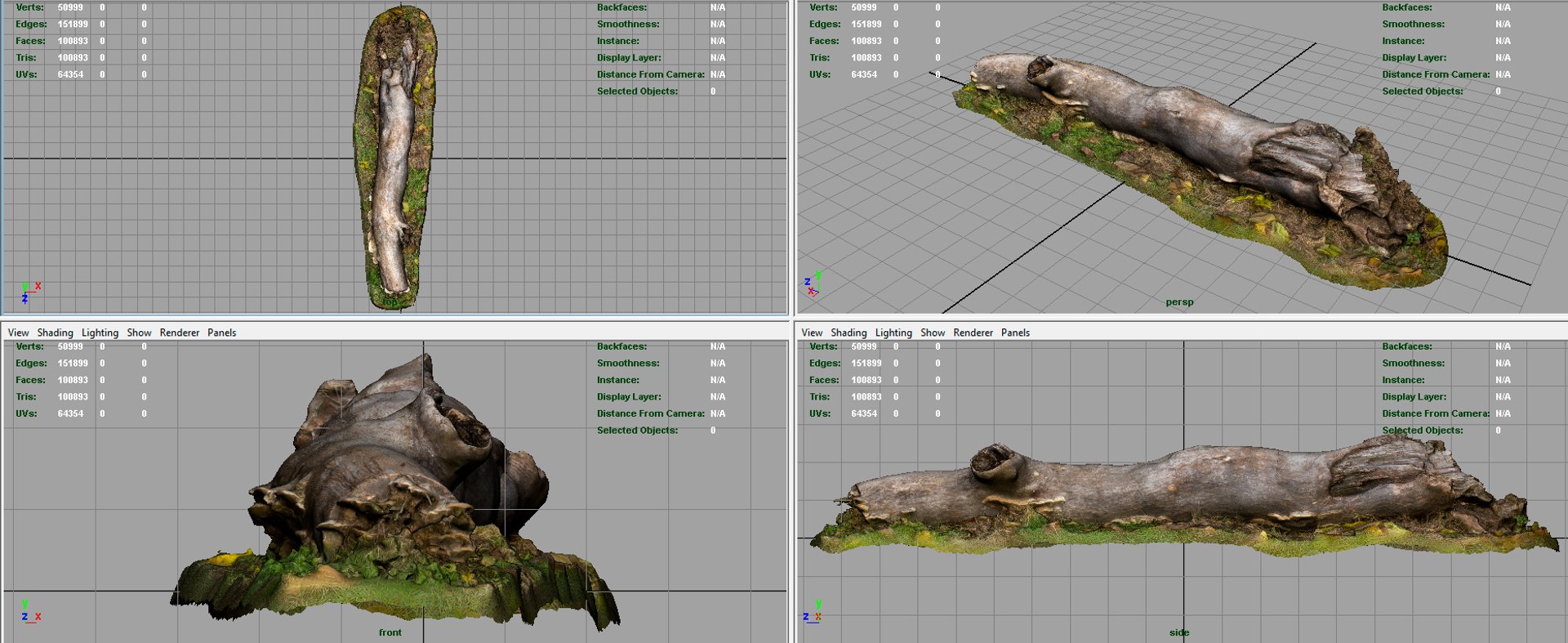 3d dead tree model