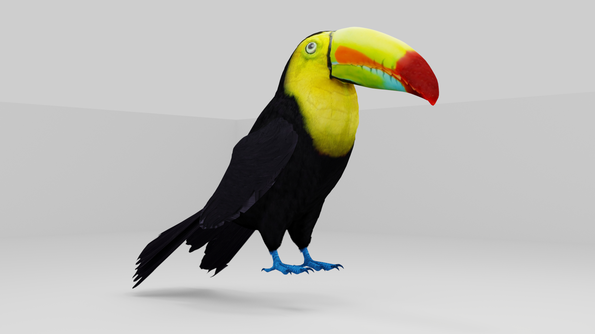 3D model Toucan - TurboSquid 1787287