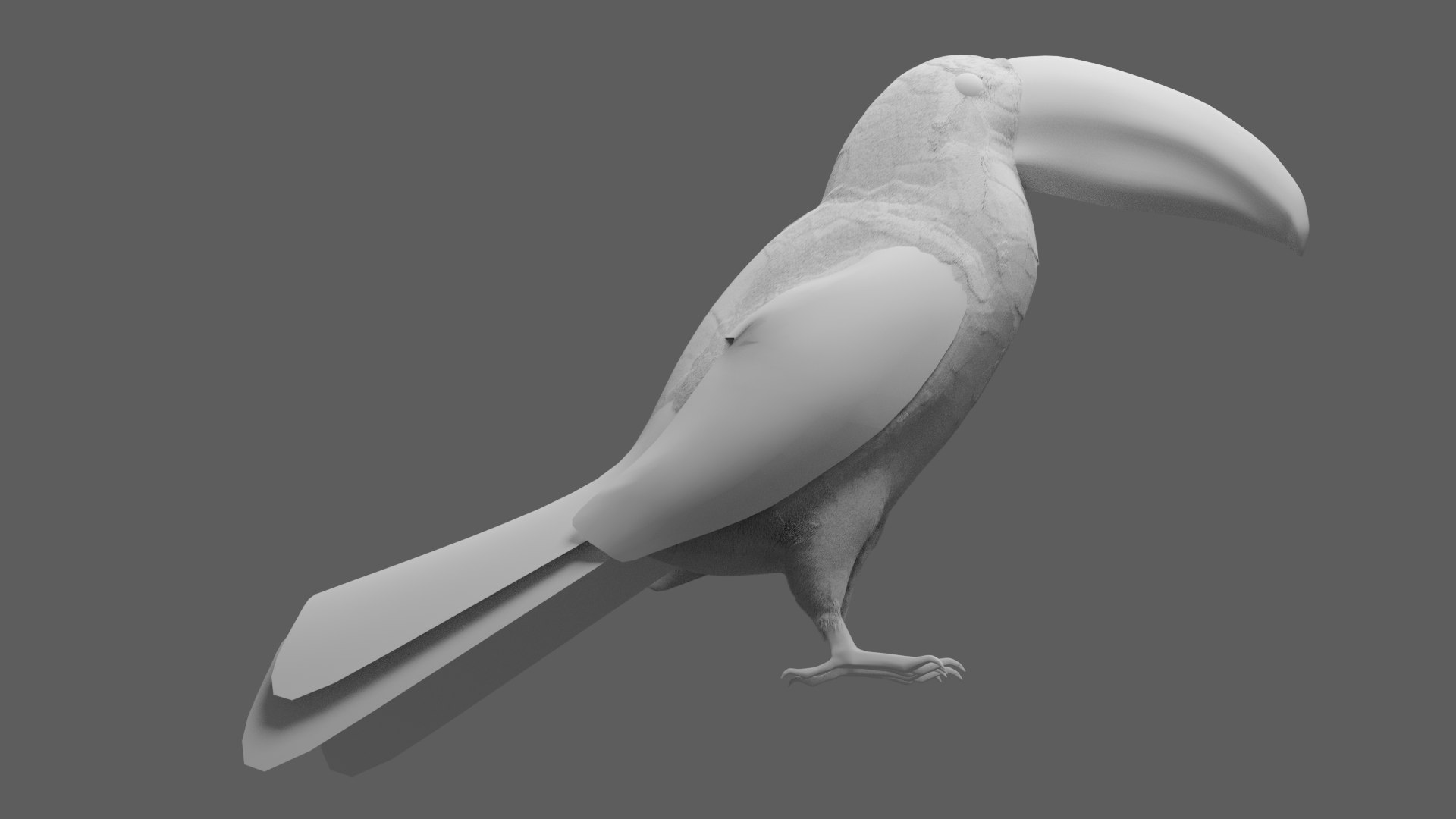 3D model Toucan - TurboSquid 1787287