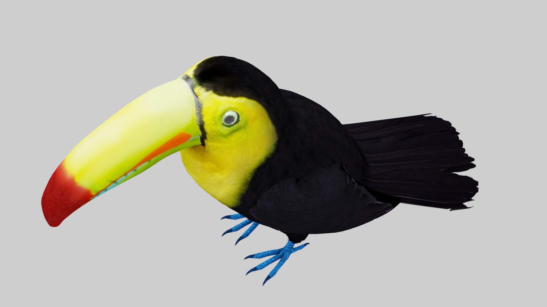 3D Model Toucan - TurboSquid 1787287