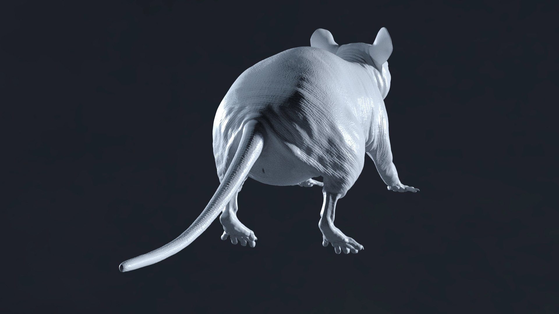 Rat ztl model - TurboSquid 1610783