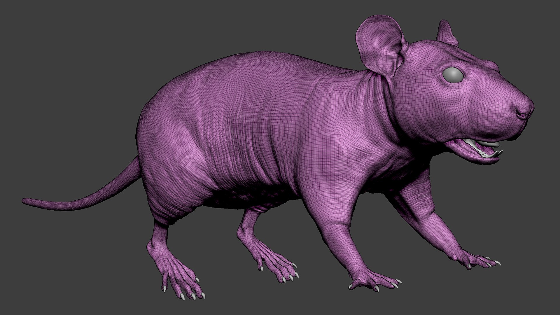 Rat ztl model - TurboSquid 1610783