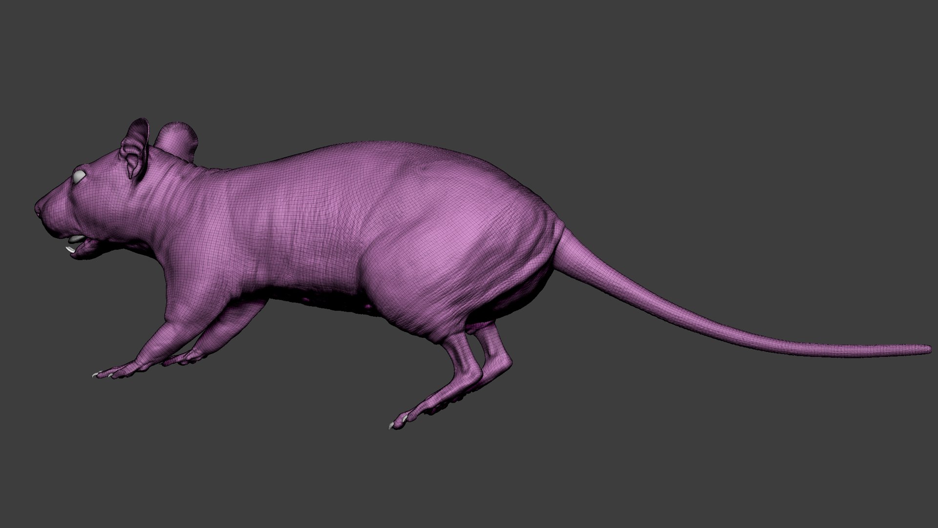 Rat ztl model - TurboSquid 1610783