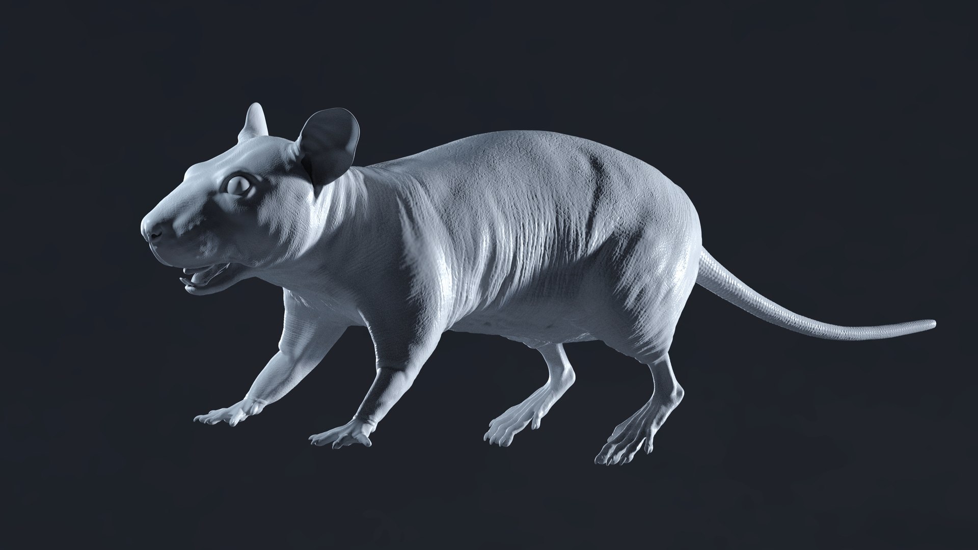 Rat ztl model - TurboSquid 1610783