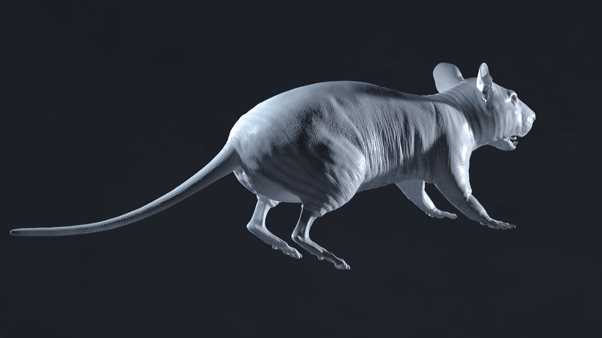 Rat ztl model - TurboSquid 1610783
