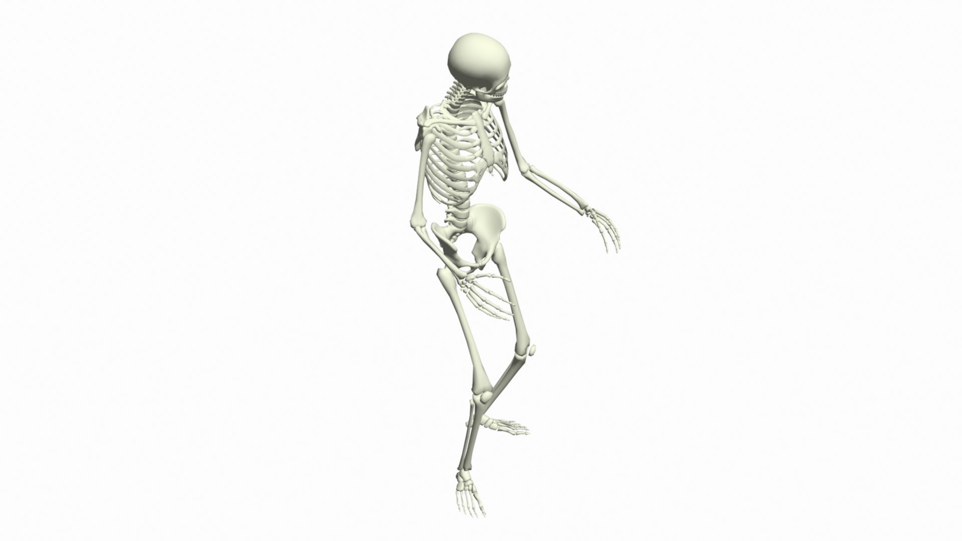 Skeleton Rigged 3D Animations Set 5 - 25 in 1 3D model - TurboSquid 1884390