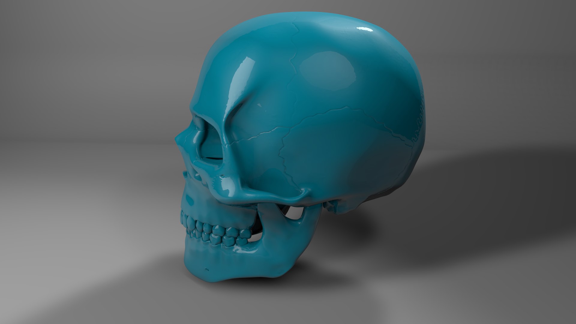 Plastic skull l775 model - TurboSquid 1575247