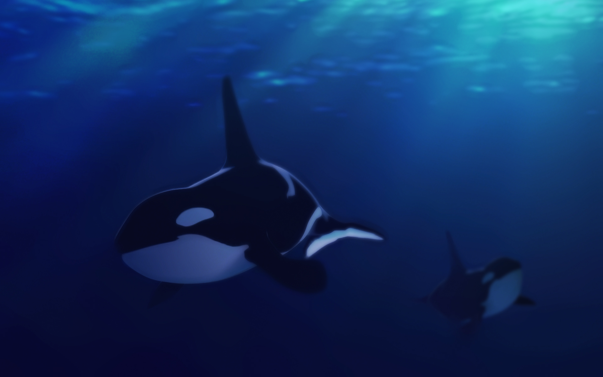 free c4d mode orca animate