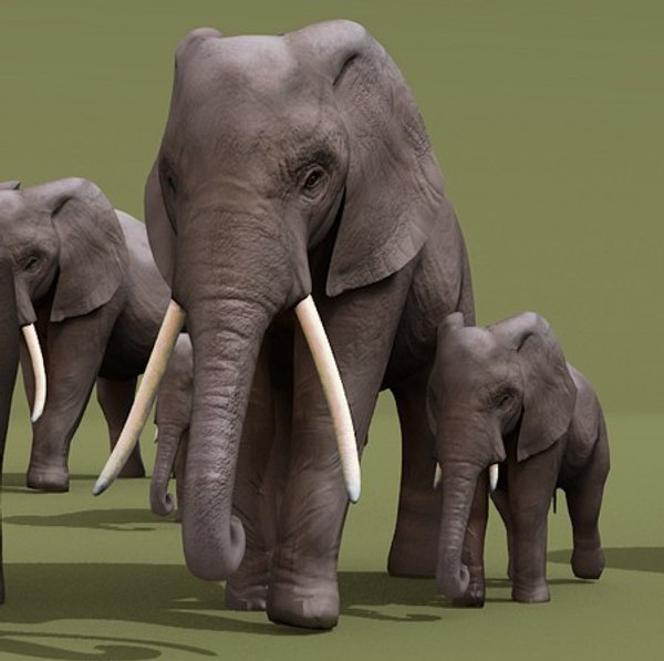 Elephant Blender Models for Download | TurboSquid