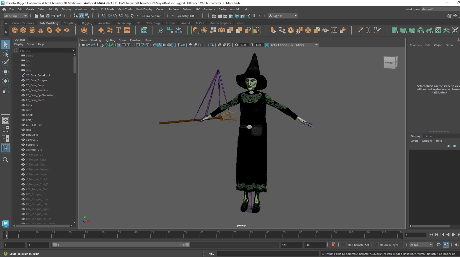 3D Realistic Rigged Halloween Witch Character 3D Model - TurboSquid 2137780