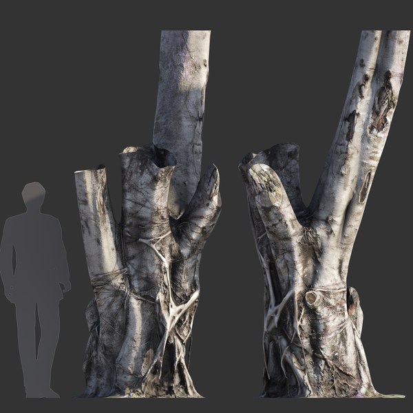 3D Megascans Models | TurboSquid