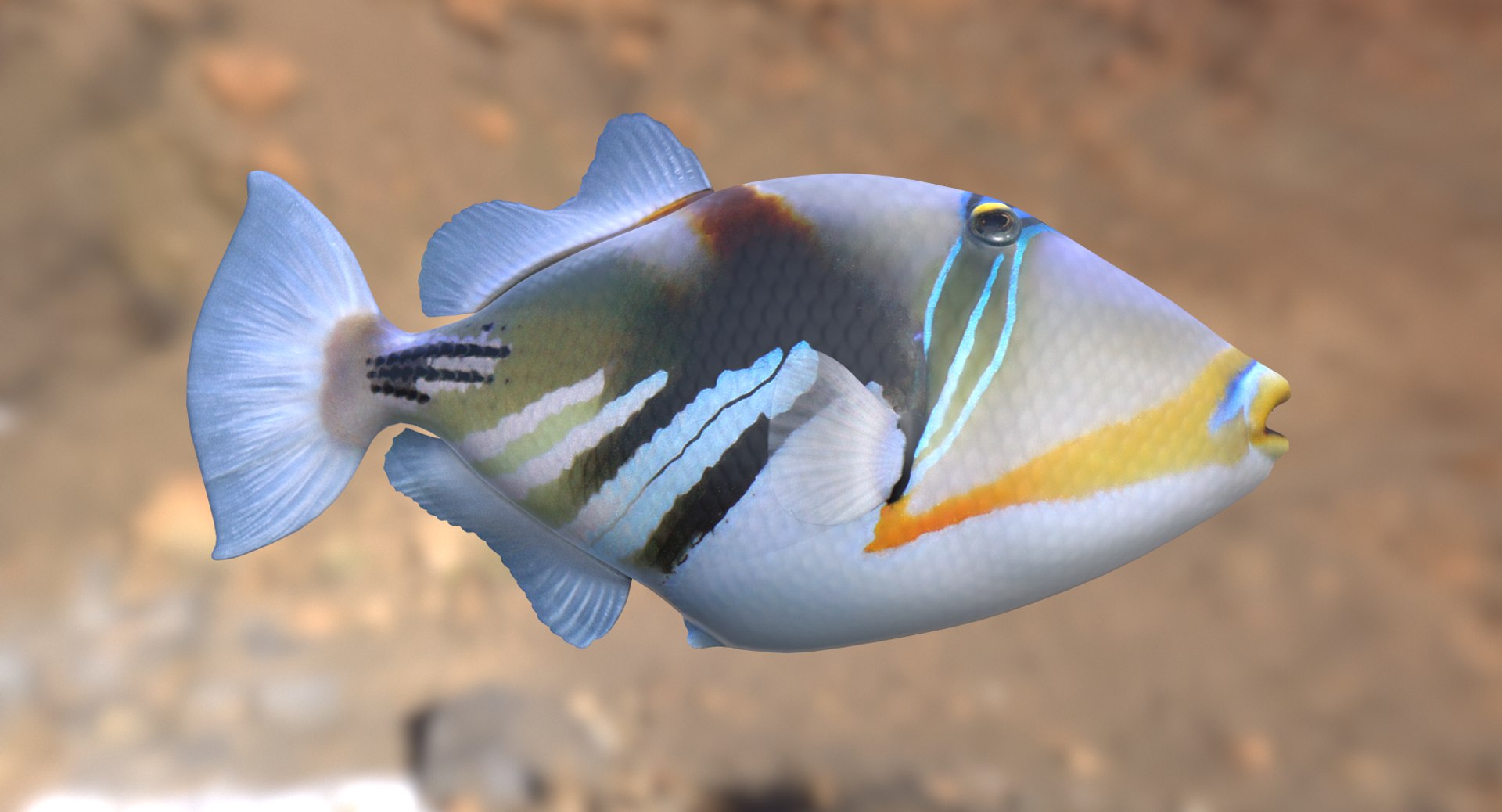 3D Picasso Triggerfish - TurboSquid 1381372