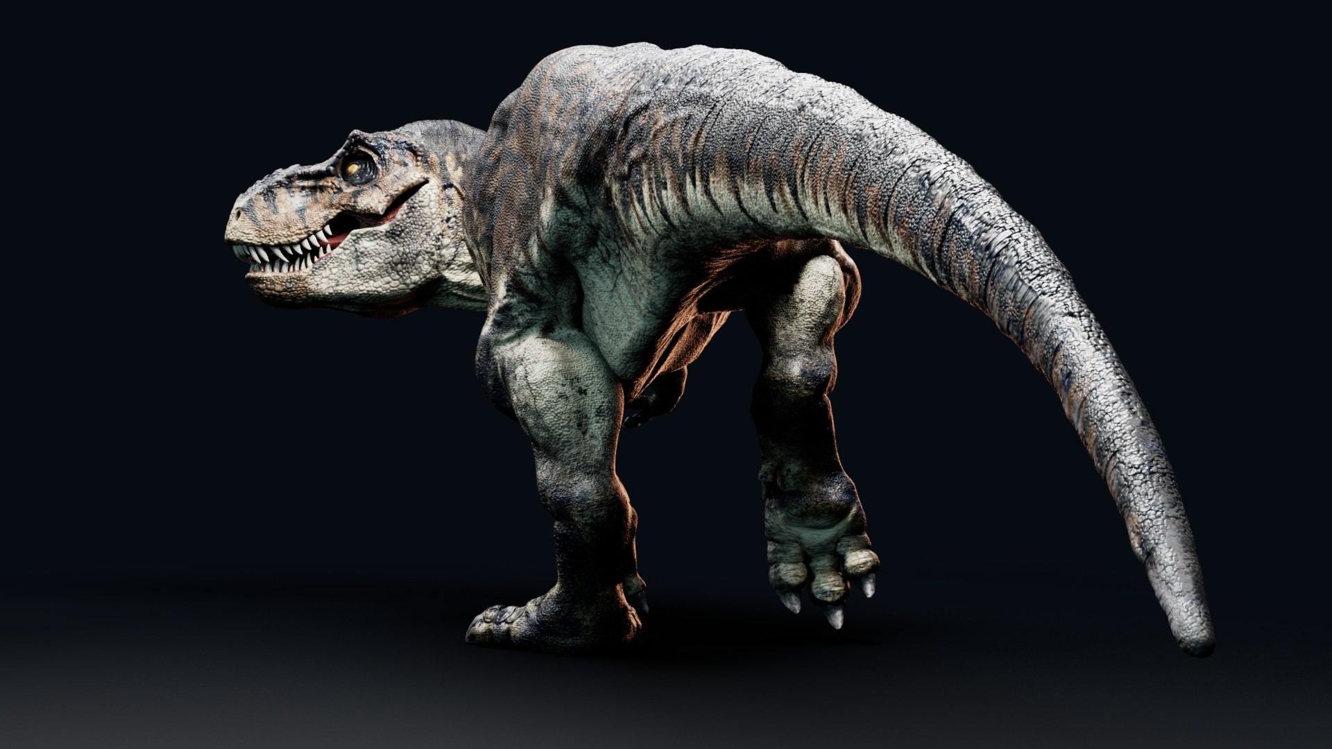 3D Model Tyrannosaurus Rex Sue Unreal Engine - Unity Projects ...