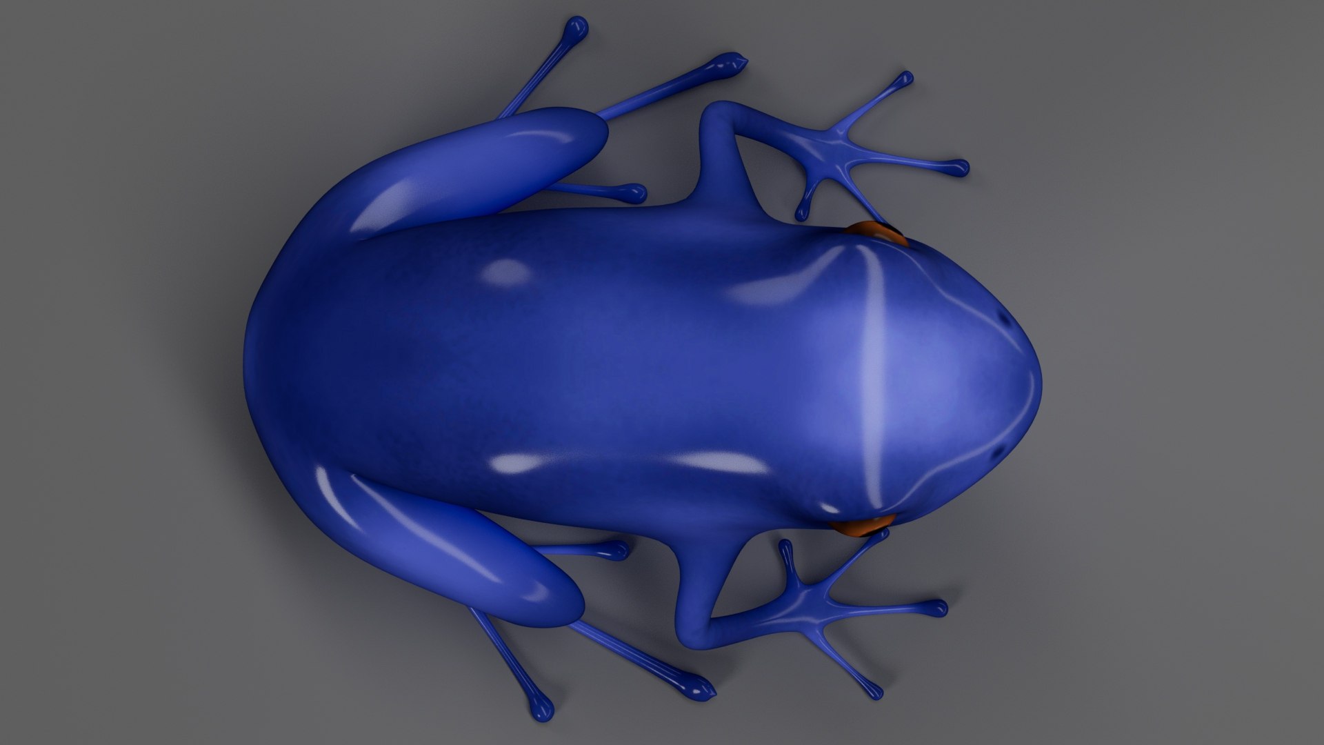 3D Blue Tree Frog 3D Model - TurboSquid 1941257