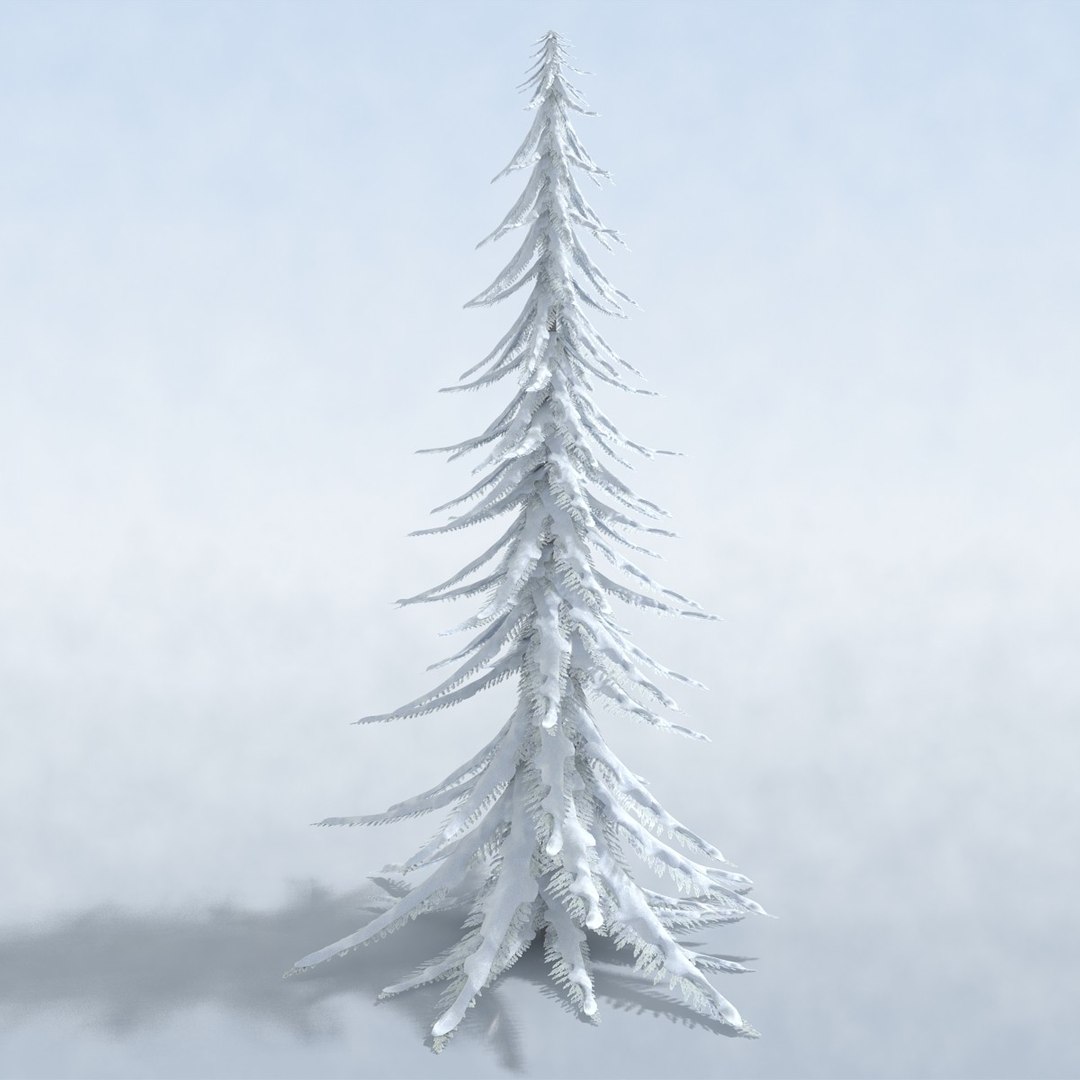 Snowy Pine Tree Snow Max