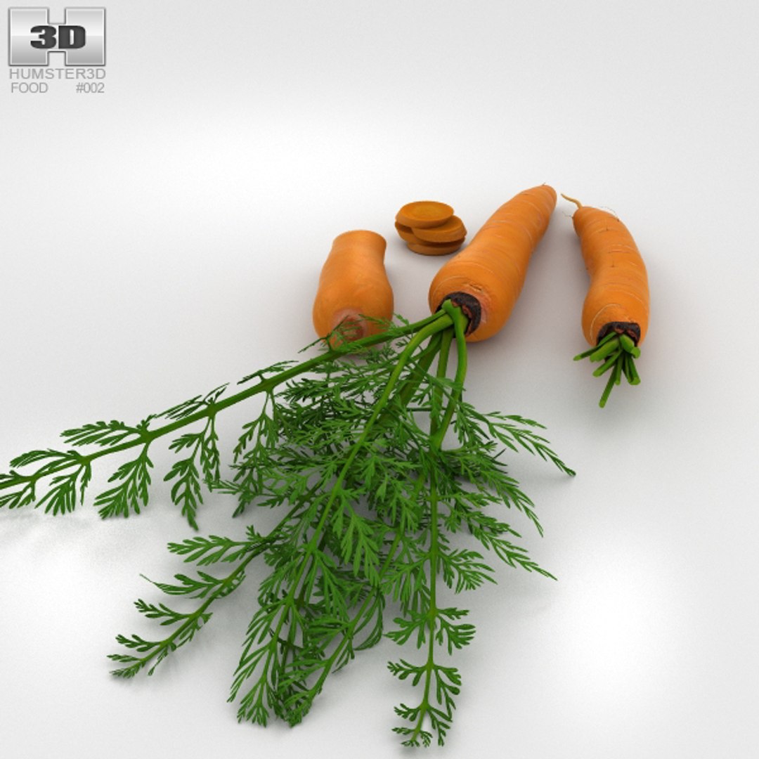 Carrot vegetable food 3D model - TurboSquid 1287102