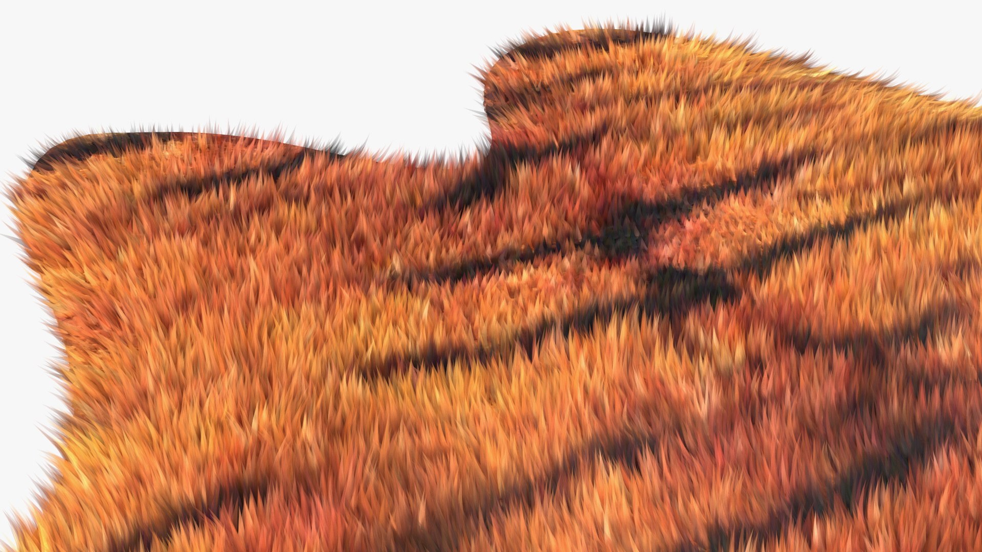 3D Tiger Hide Rug With Fur - TurboSquid 1846761