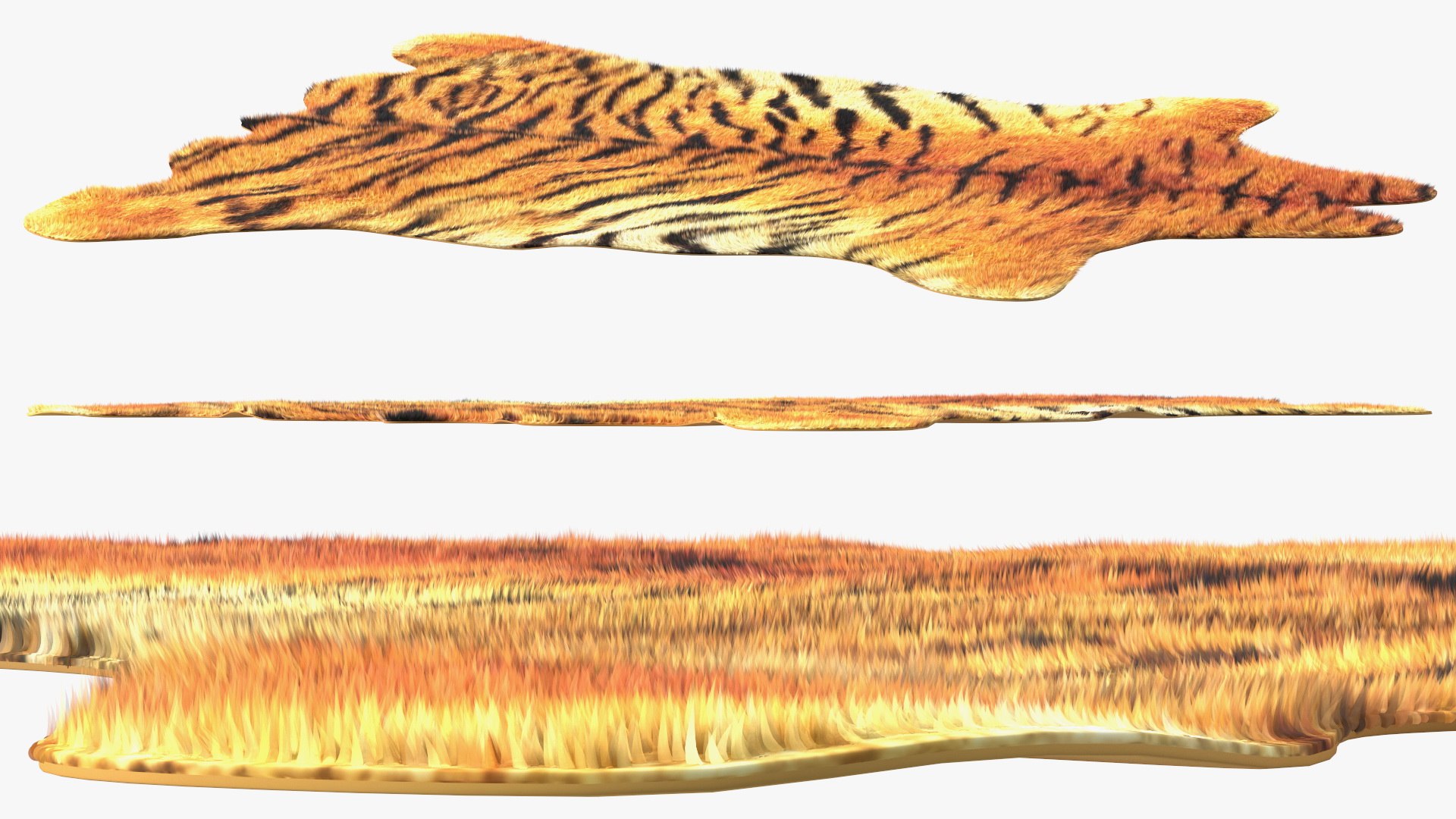 3D Tiger Hide Rug With Fur - TurboSquid 1846761