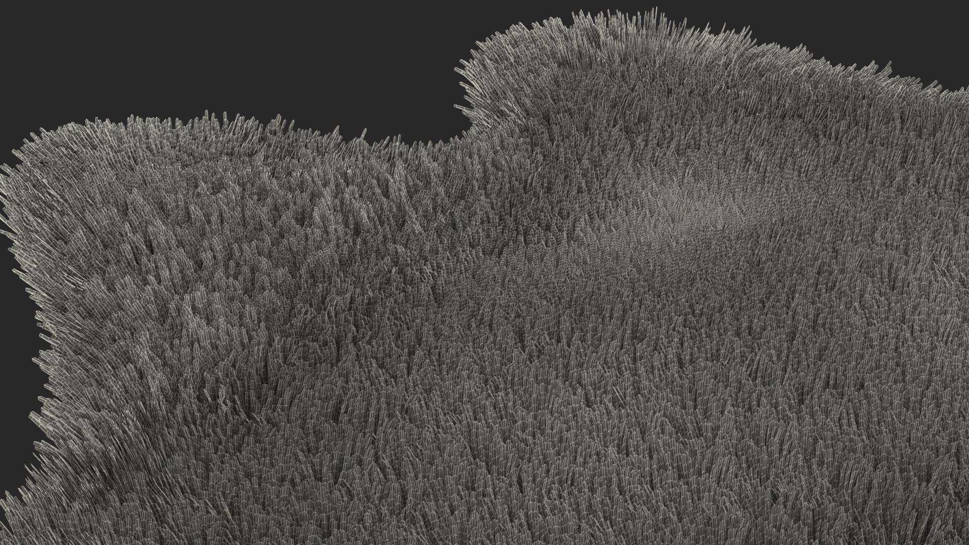 3D Tiger Hide Rug With Fur - TurboSquid 1846761