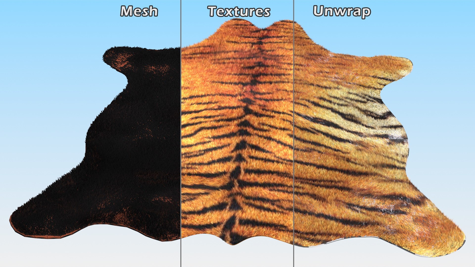 3D Tiger Hide Rug With Fur - TurboSquid 1846761