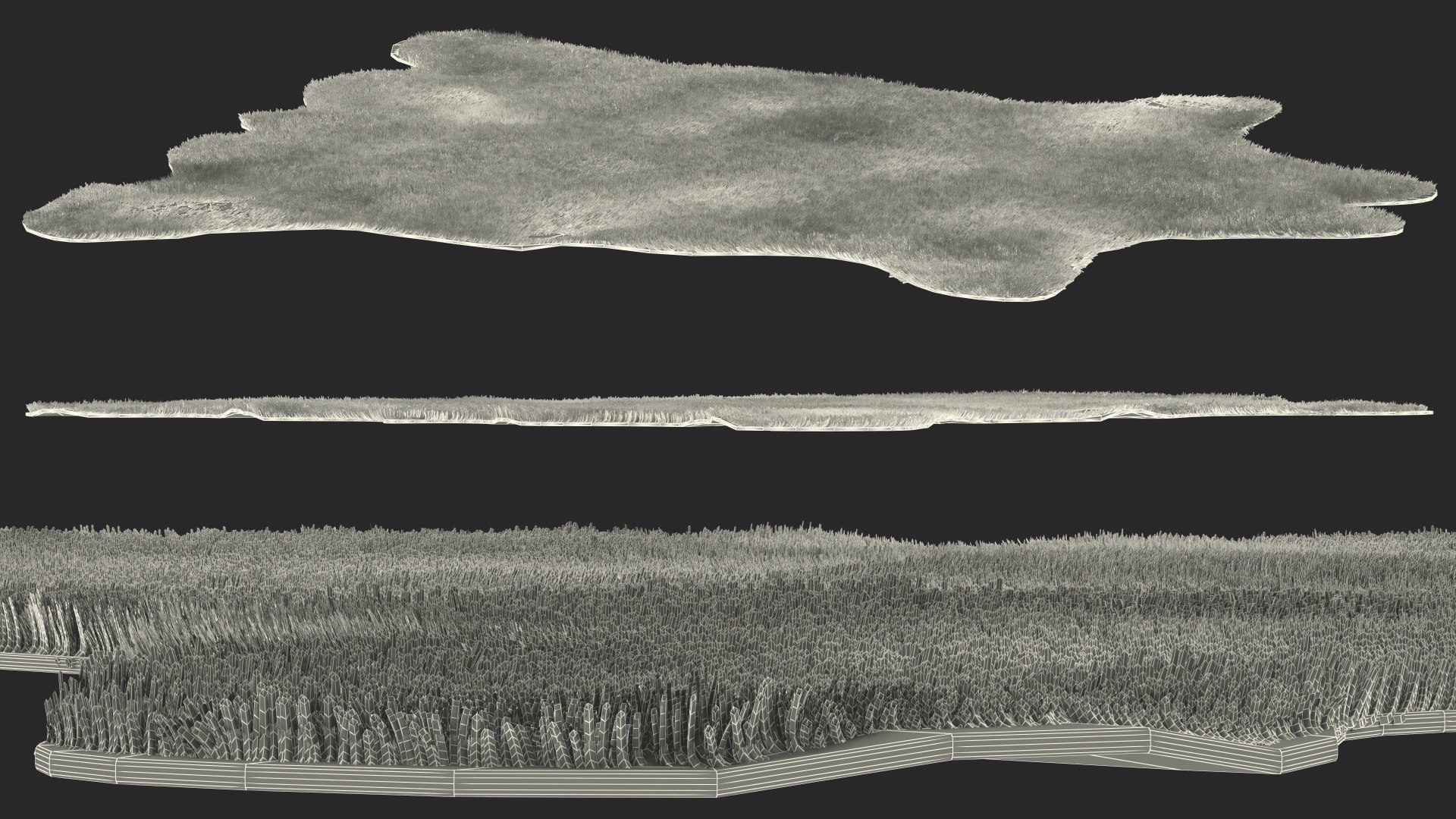 3D Tiger Hide Rug With Fur - TurboSquid 1846761