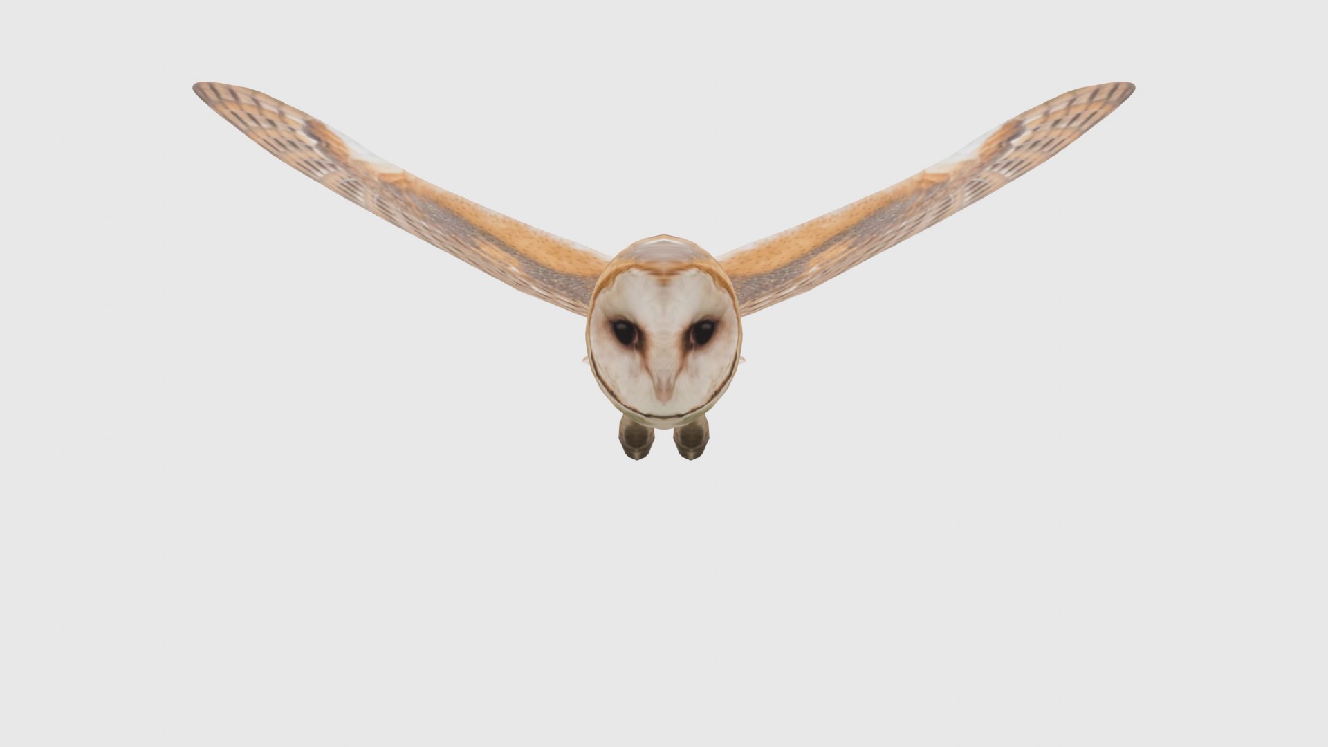 Low Poly Owl Rigged With Realistic Texture 3D Model - TurboSquid 1875980