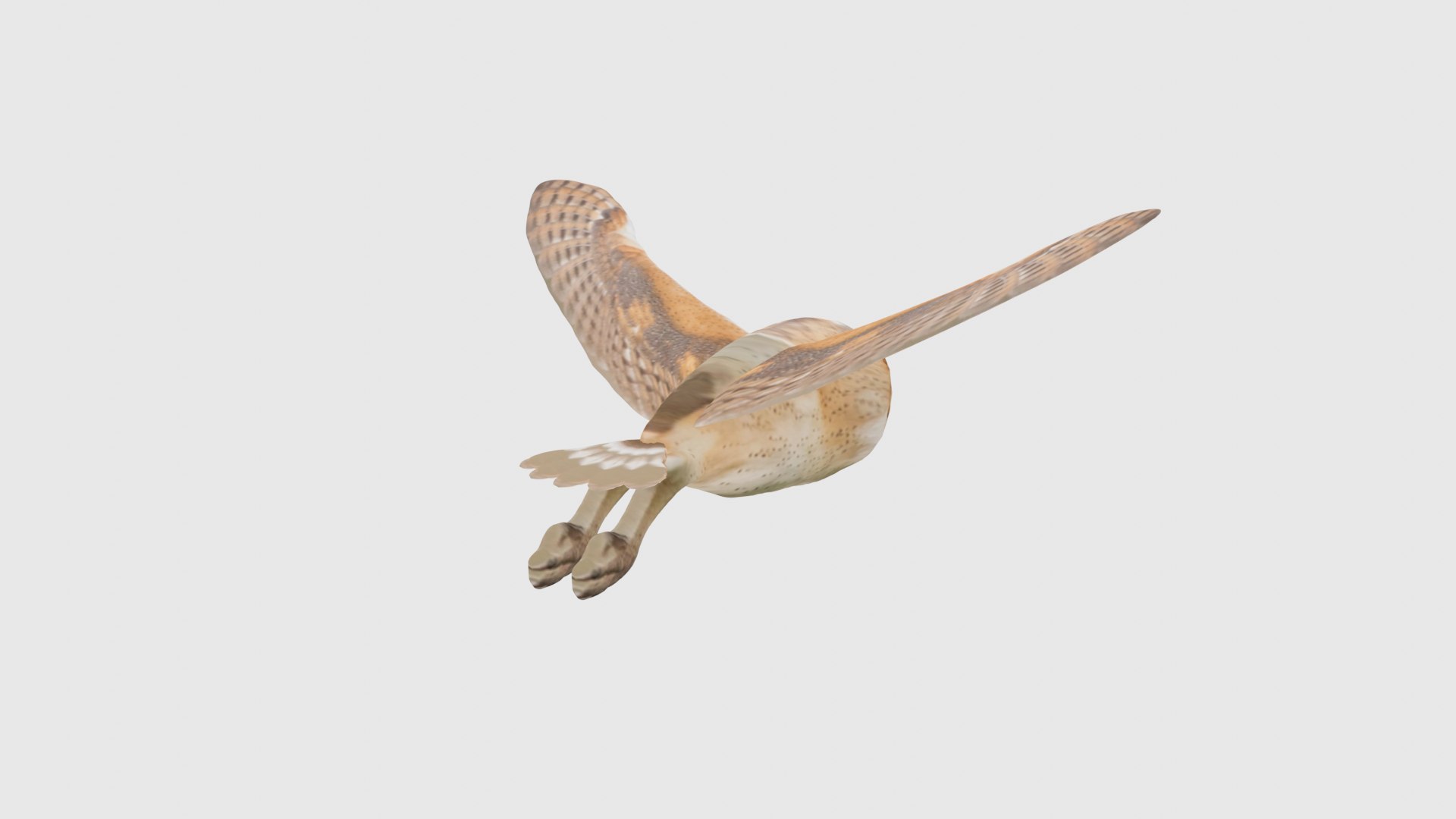 Low Poly Owl Rigged With Realistic Texture 3D Model - TurboSquid 1875980