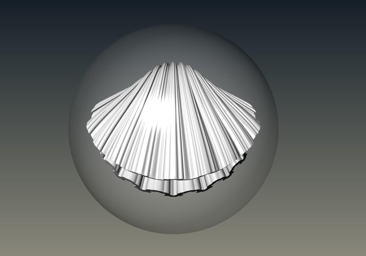 3D Seashell Pearls Model - TurboSquid 1246137