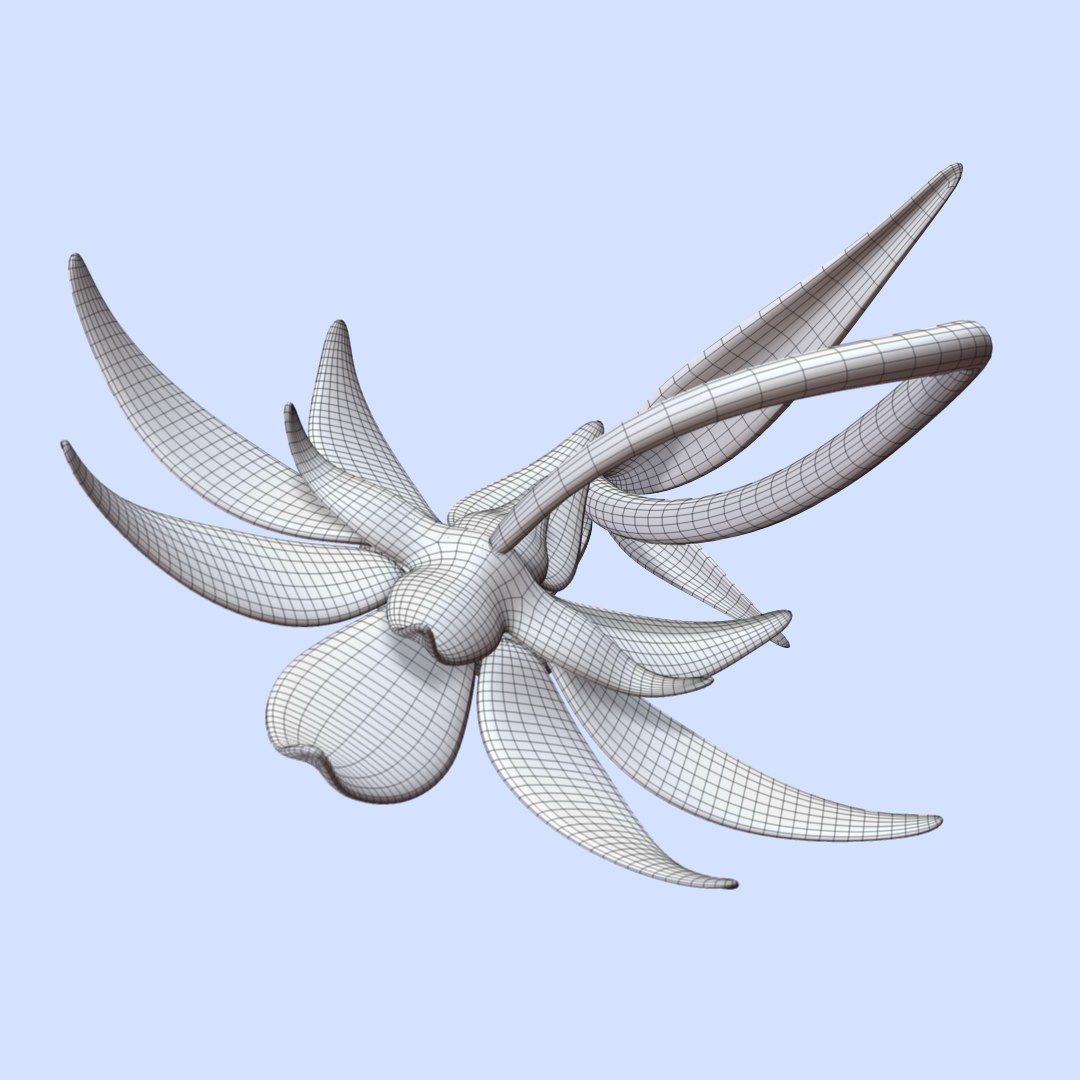 3D Daisy Model - TurboSquid 1553924
