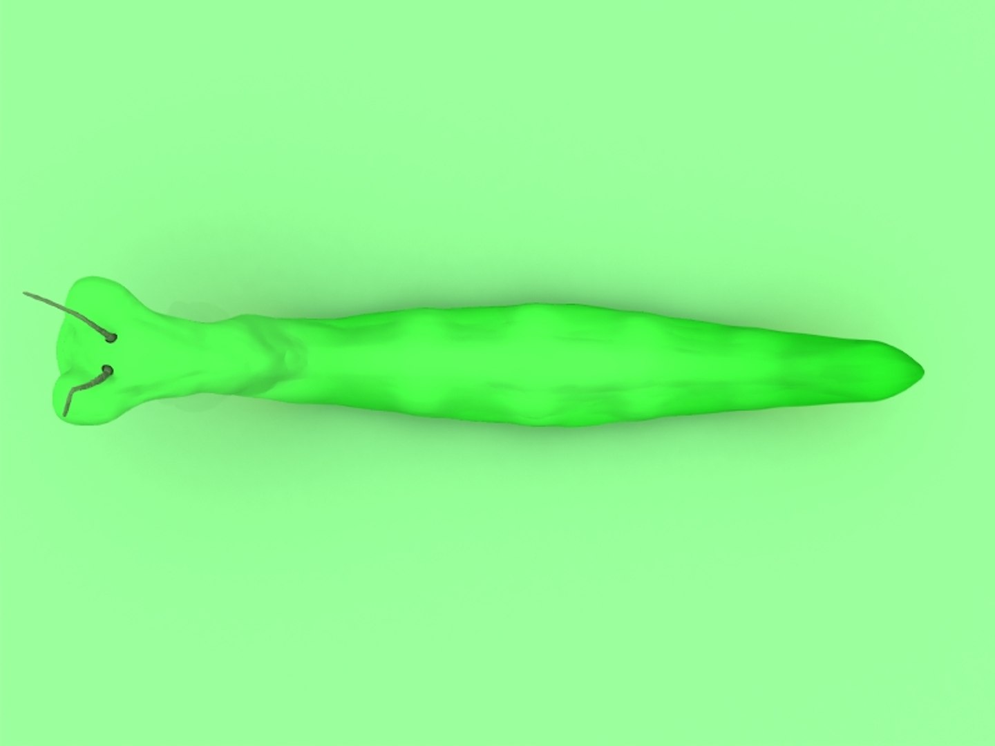 Worm Character 3d Model