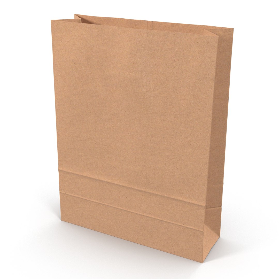 3d paper bag 5 model