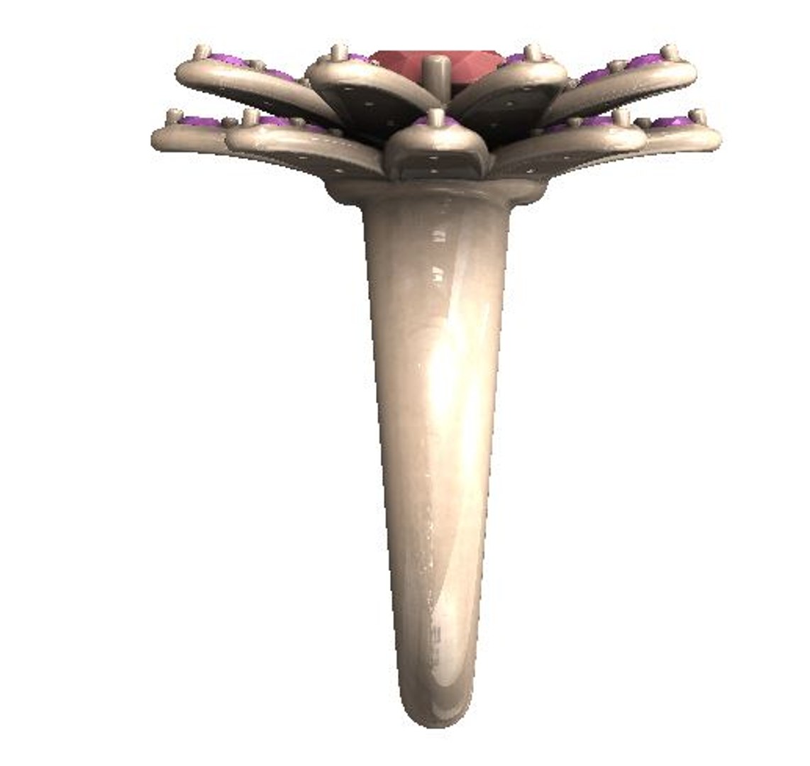 Fireworks Ring Model - TurboSquid 2165378