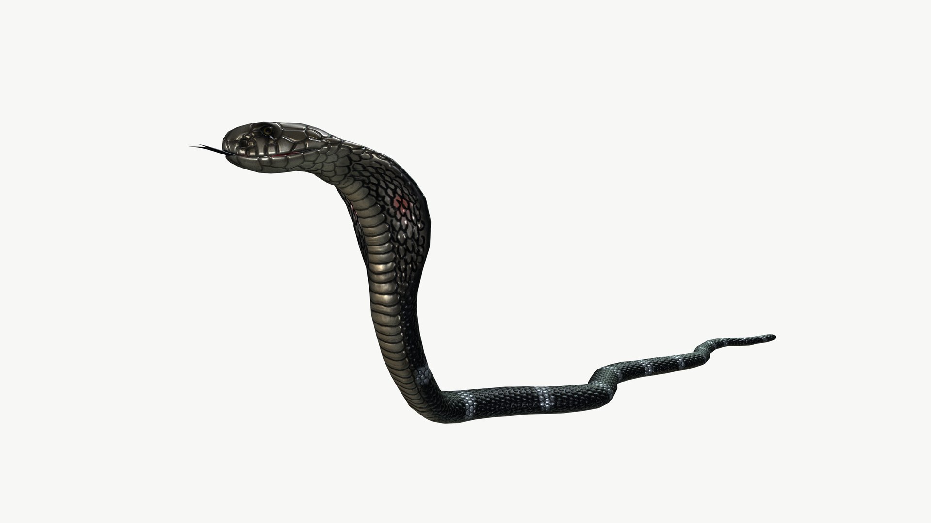 3D Model Snake King Cobra - TurboSquid 2332233