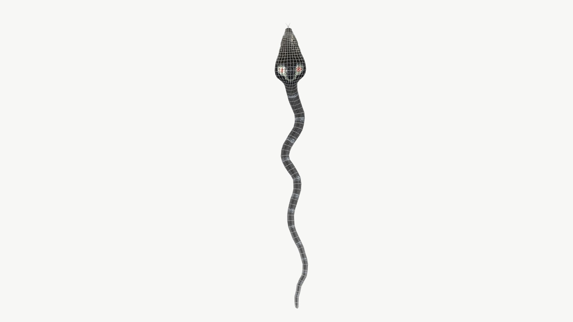 3D Model Snake King Cobra - TurboSquid 2332233