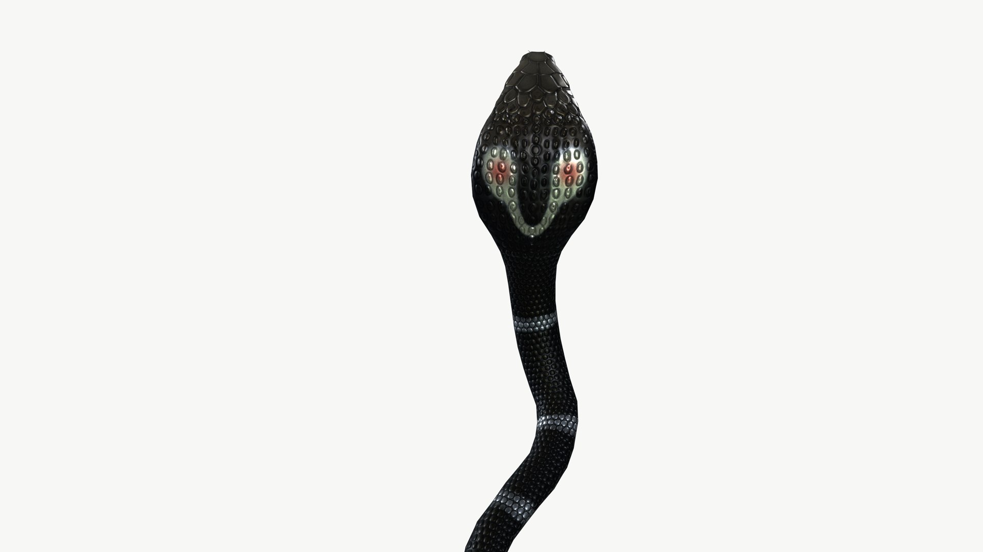 3D Model Snake King Cobra - TurboSquid 2332233