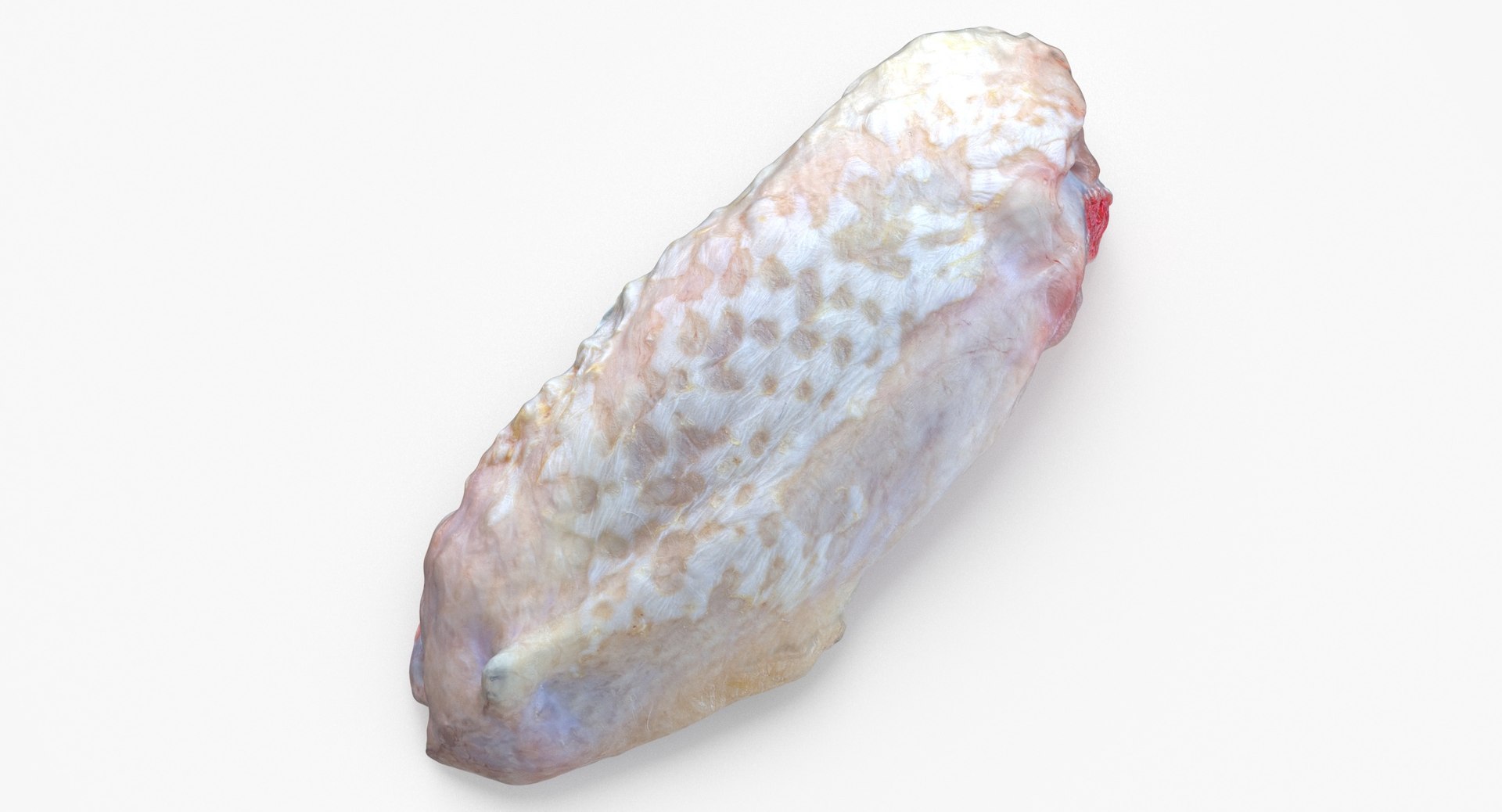 Chicken Wing 01 3D model - TurboSquid 1873001