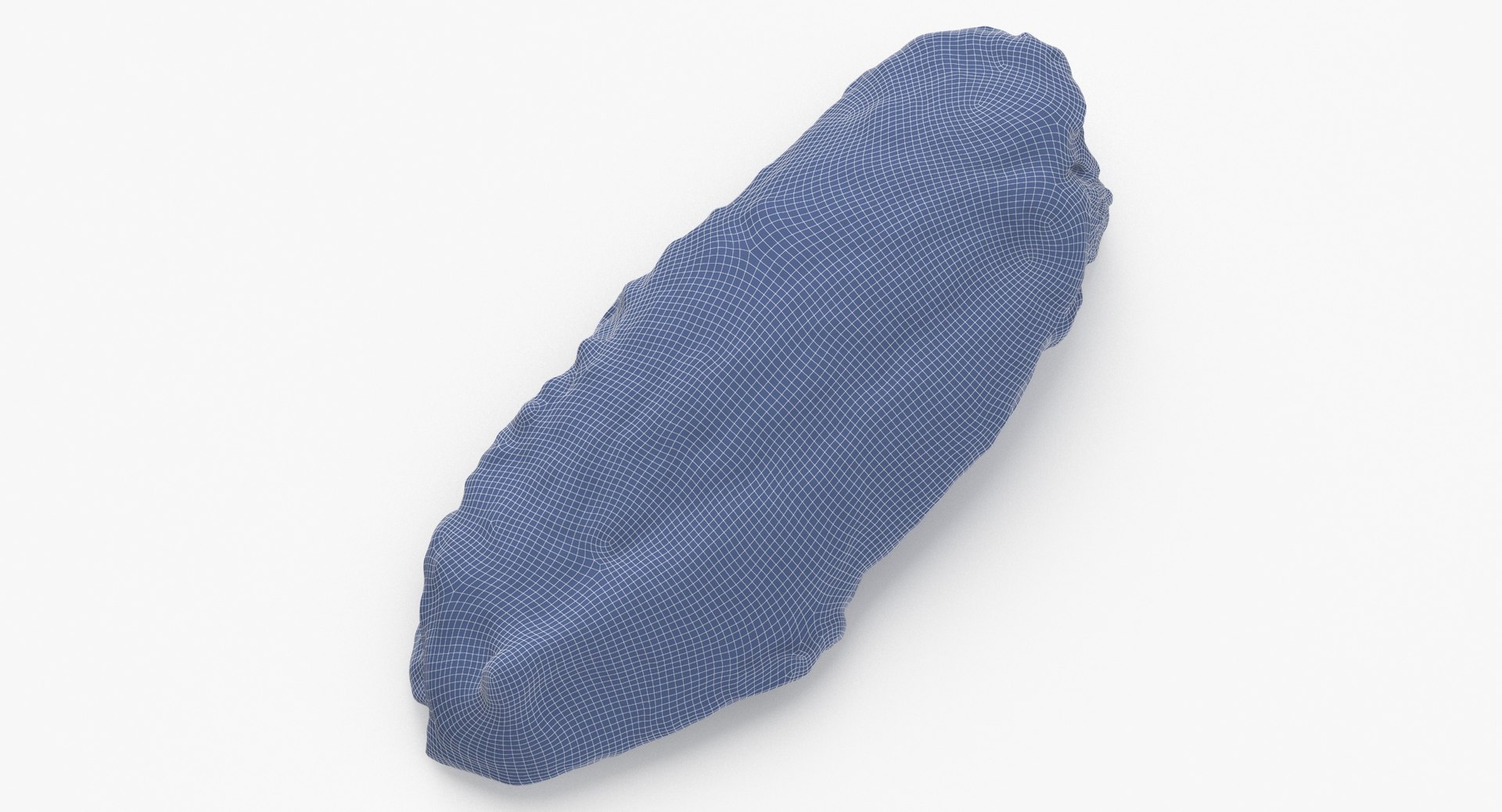 Chicken Wing 01 3D Model - TurboSquid 1873001