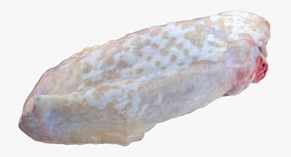 Chicken Wing 01 3D model - TurboSquid 1873001
