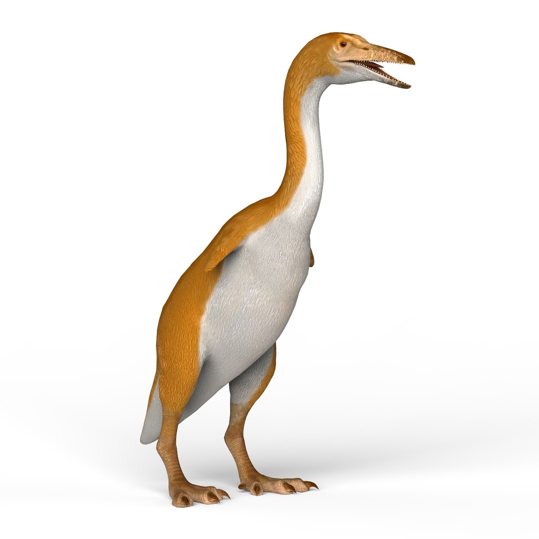 Monster Bird 3D Model - TurboSquid 1515487