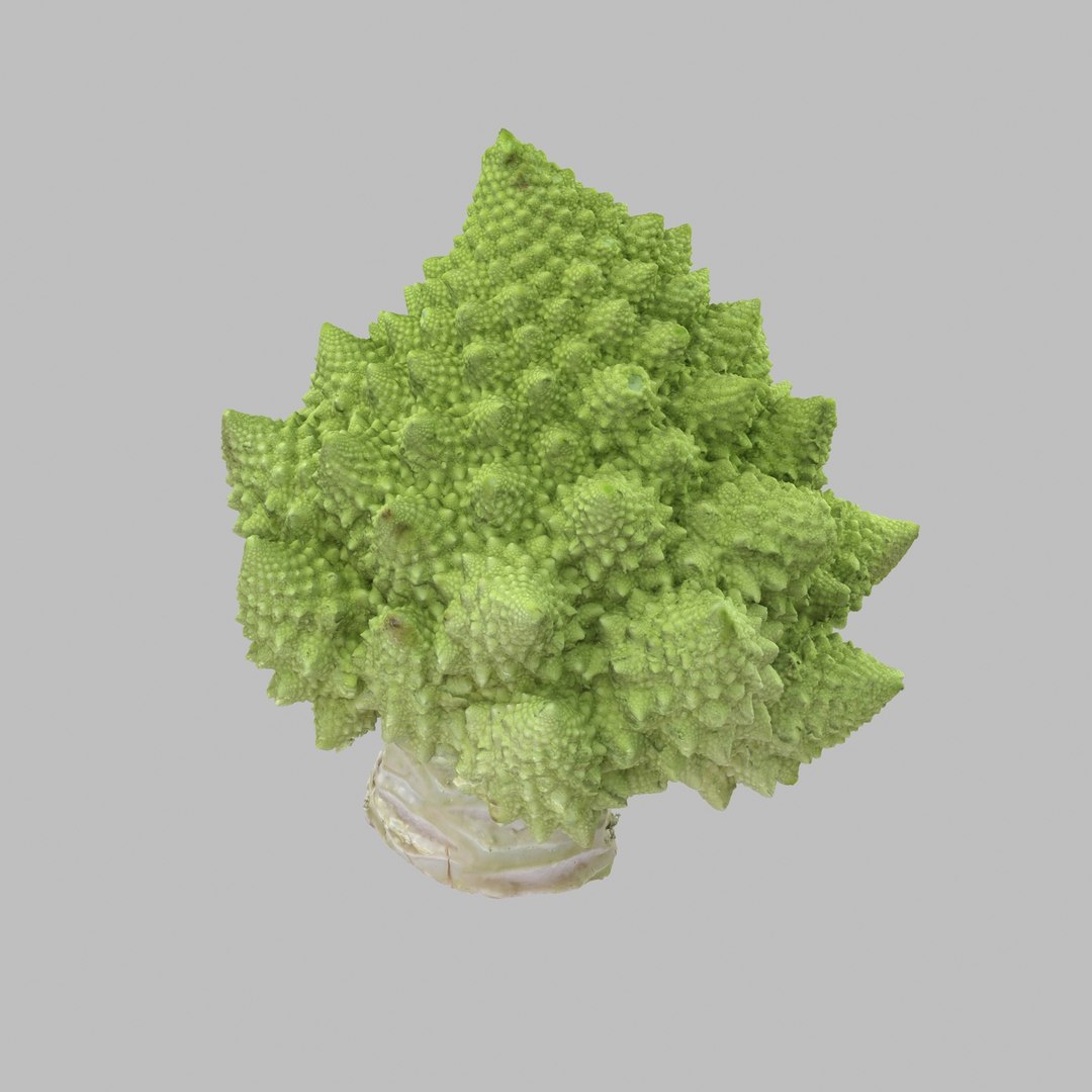 Scan 3D - TurboSquid 1530044