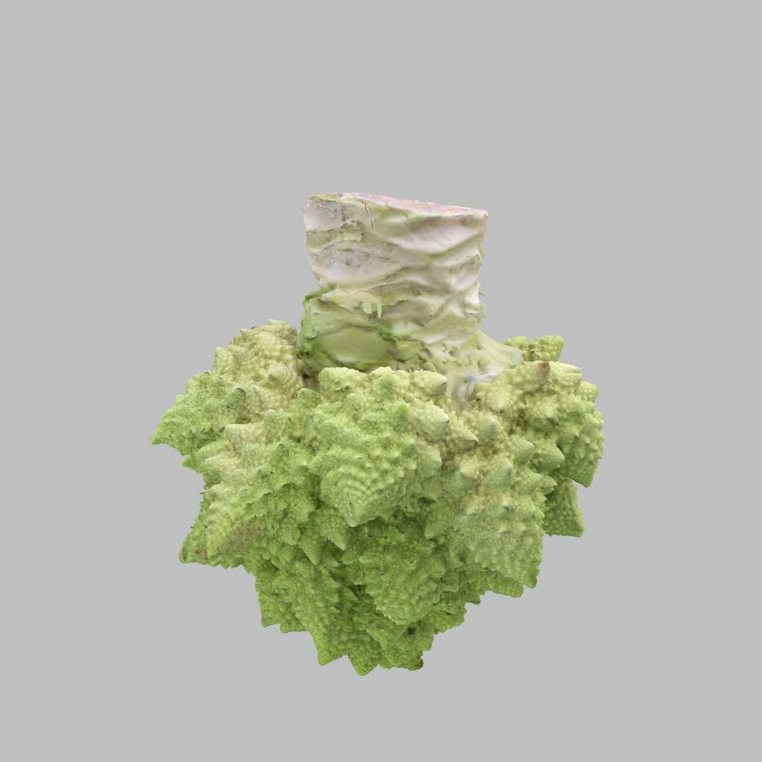 Scan 3D - TurboSquid 1530044